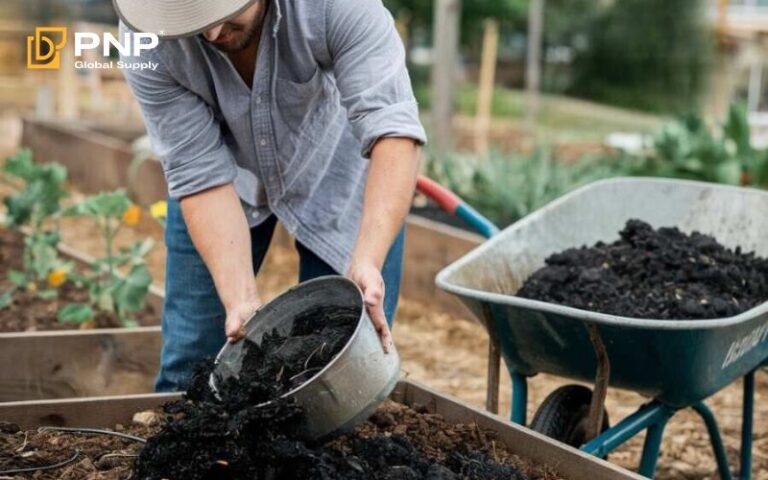 HOW TO CHARCOAL DISPOSAL OF COAL AND ASH? - PNP Charcoal