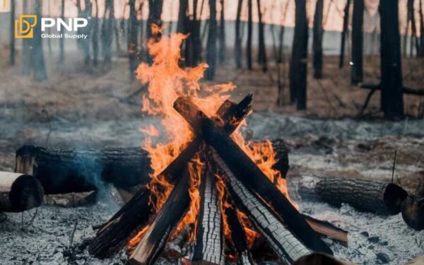 HOW TO CHARCOAL DISPOSAL OF COAL AND ASH? - PNP Charcoal