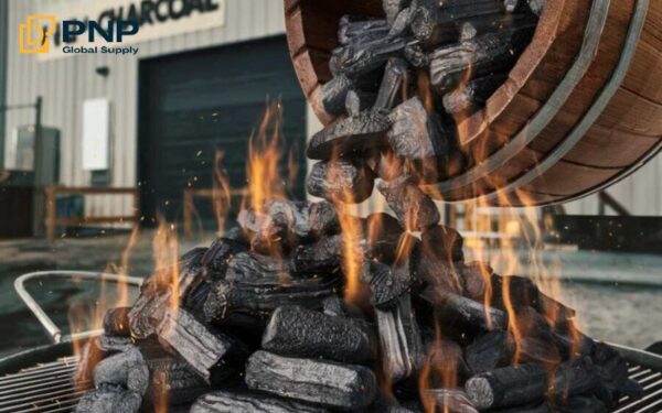 THE BEST TYPES OF CHARCOAL FOR GRILLS - PNP Charcoal