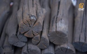 FIREWOOD VS CHARCOAL APPLICATION, WHICH BURNS BETTER? - PNP Charcoal