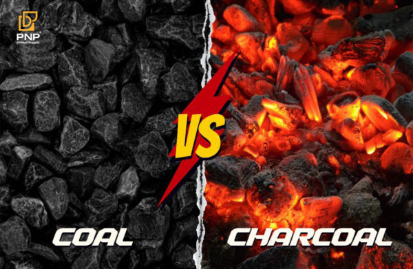 WHAT IS THE DIFFERENCE BETWEEN CHARCOAL AND COAL 2026? - PNP Charcoal