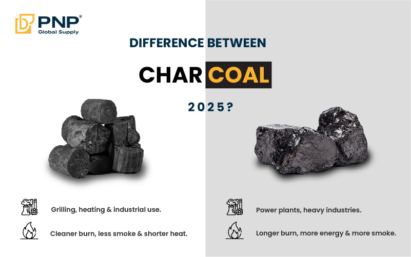 WHAT IS THE DIFFERENCE BETWEEN CHARCOAL AND COAL 2025? - PNP Charcoal