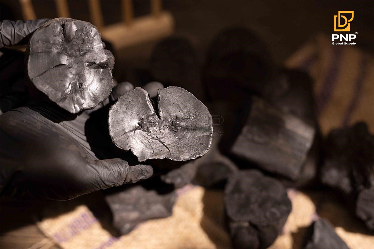 Wood Charcoal Vs Coconut Charcoal: Which Is The Best Choice? - PNP Charcoal