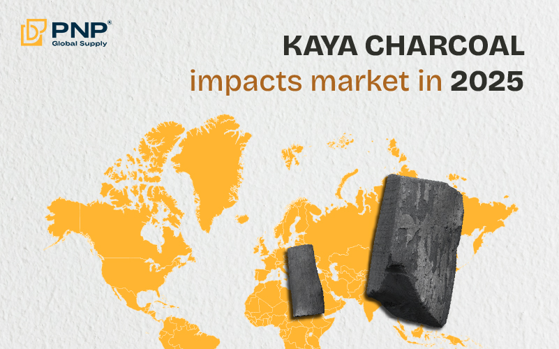 How Will The Kaya Charcoal Market Trends Shift In 2025? - PNP Charcoal
