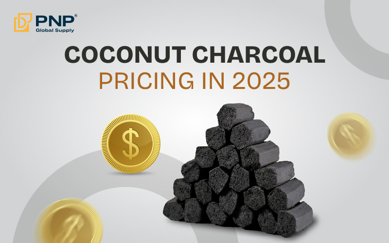 Coconut Charcoal Price Update In The 2026 Charcoal Market - PNP Charcoal